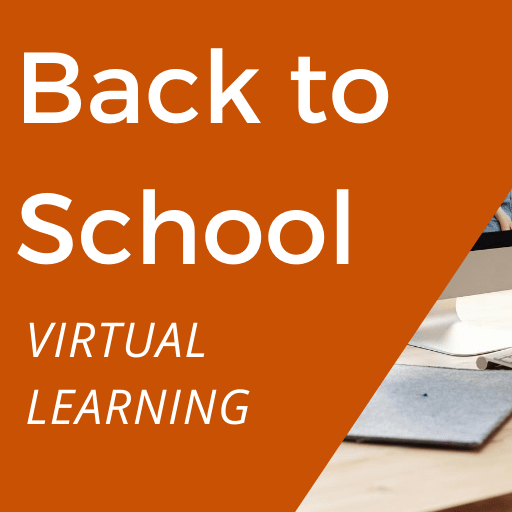 What Students and Teachers need for the Fully Virtual Classroom ...